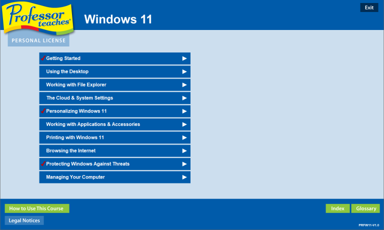Professor Teaches® Windows® 11 with Skill Assessment | Individual Software