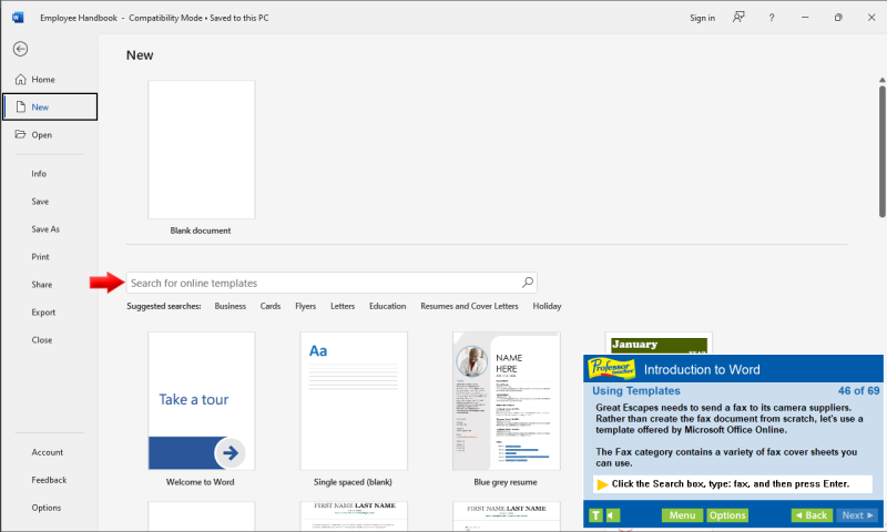 Professor Teaches® Office 2021 & Windows® 11 with Skill Assessment (6 ...